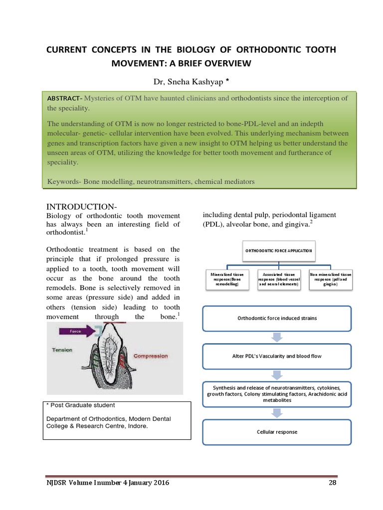 7 CURRENT CONCEPTS IN THE BIOLOGY OF ORTHODONTIC TOOTH | PDF | Cell Signaling | Biology