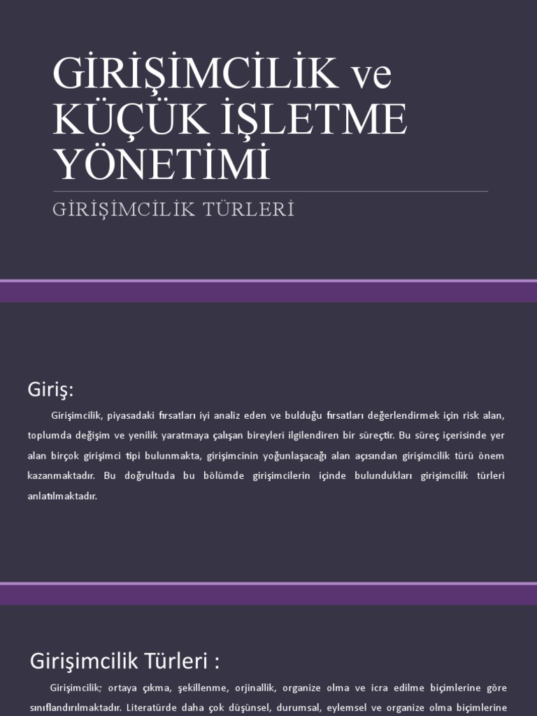 Girisimcilik Turleri | PDF
