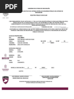 Formato de Alta Vehicular SLP | PDF | Gobierno | Business