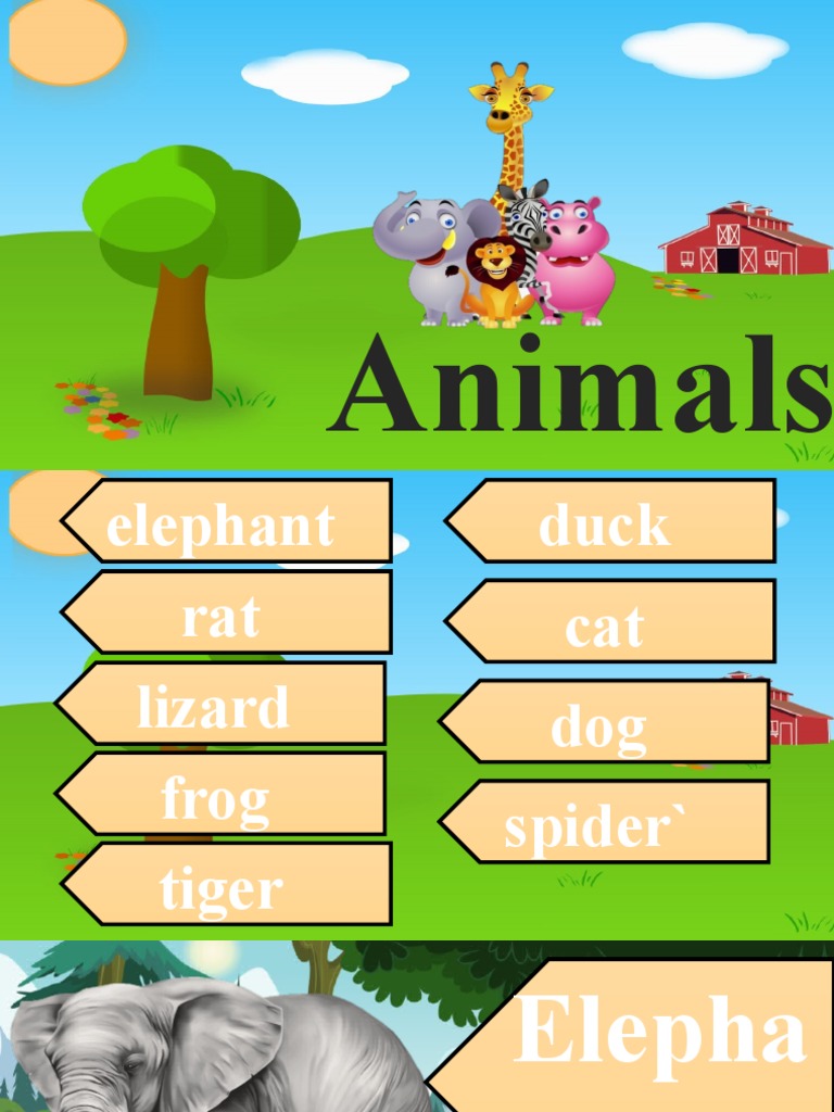 Animals | PDF