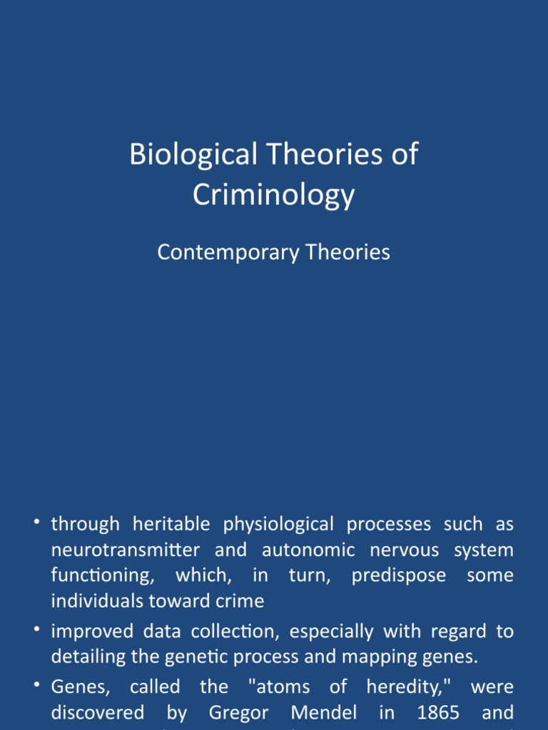 Biological Theories of Criminal Behavior | PDF | Twin | Attention ...