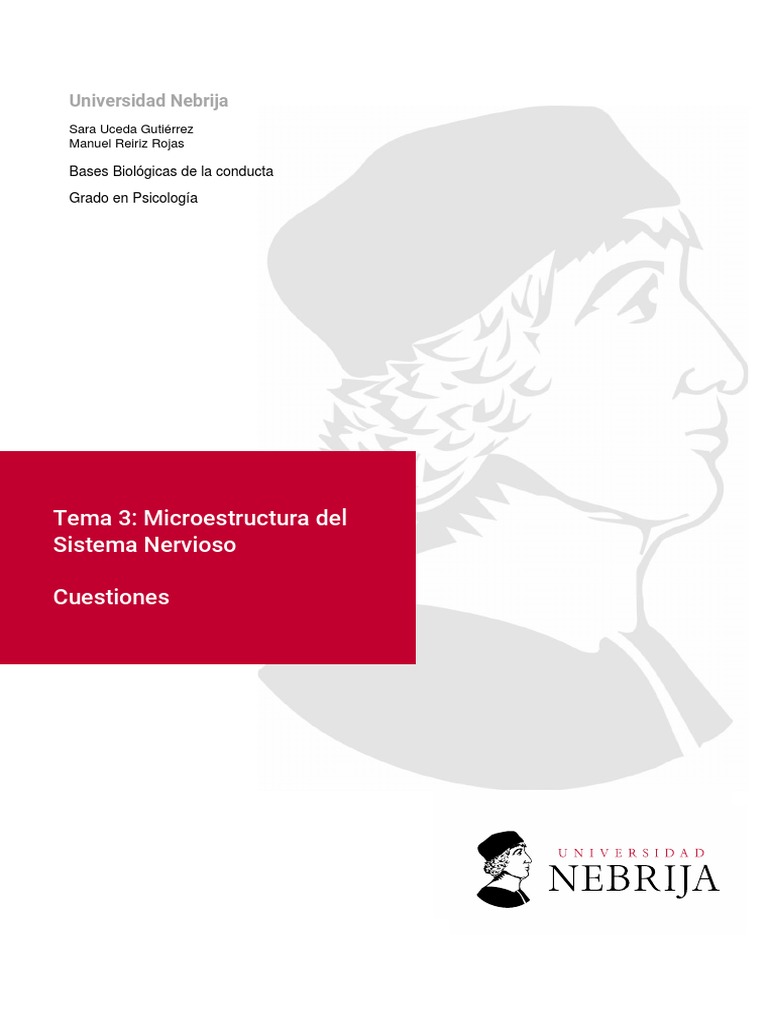 Cuestiones T3 | PDF