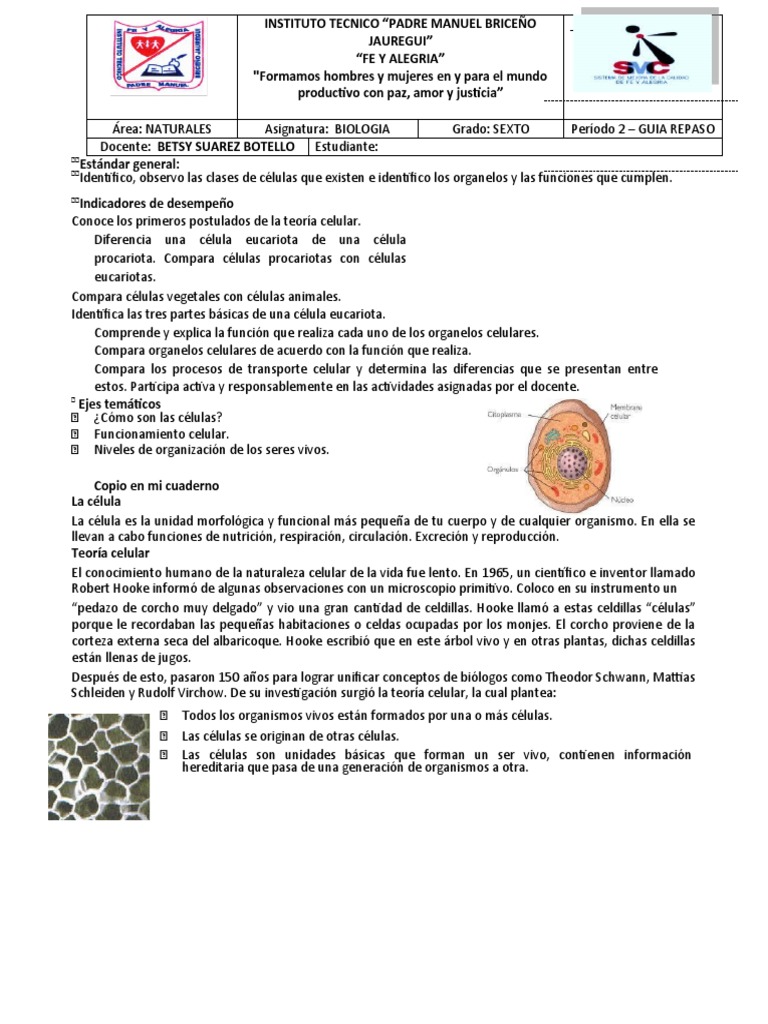 La Celula GUIA DE REPASO 1 PERIODO SEXTO CELULA Fe y Alegria 2016 | Descargar gratis PDF ...
