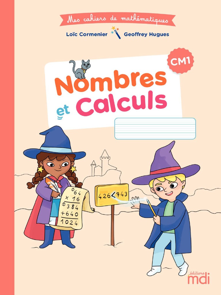 CM1 Maths Livre | PDF