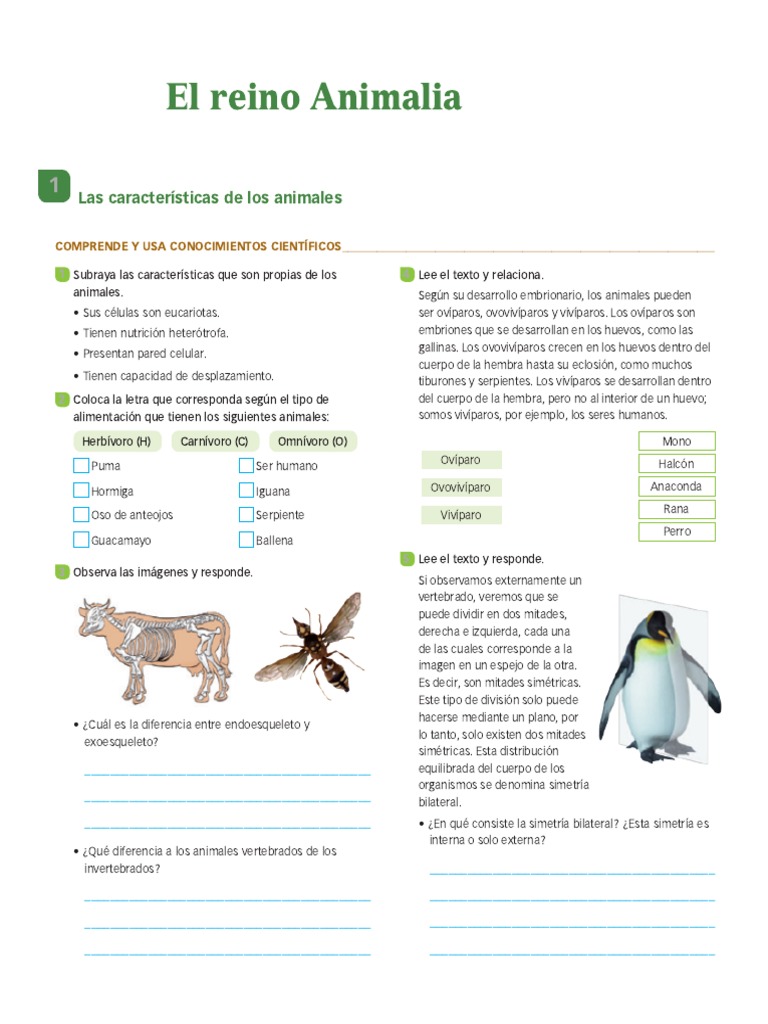 A-1º PRACT-ACT1 CYT U3 | PDF | Esponja | Huevo