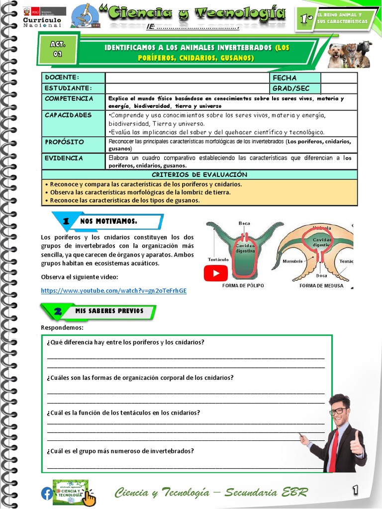 A-1º Act 2 Cyt Unid 3 - Sem 1 | PDF | Esponja | Organismos
