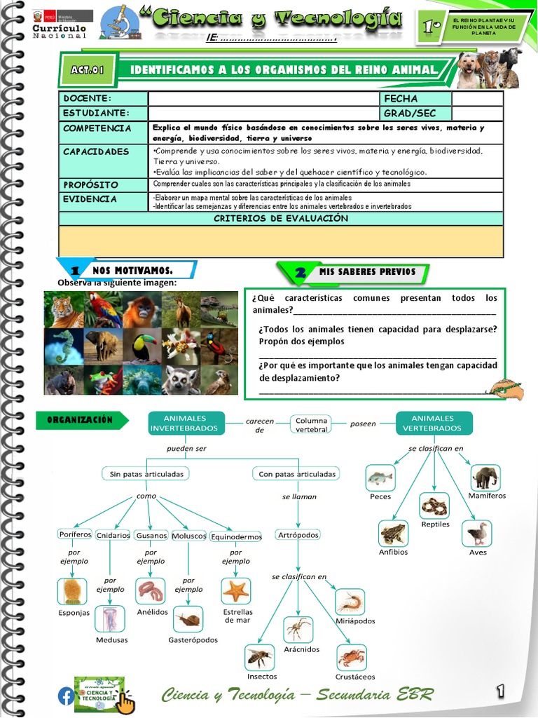 A-1º ACT 1 CYT UNID 3- SEM 1 | PDF | Esqueleto | Organismos