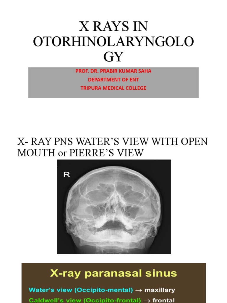 Radiology UG | PDF
