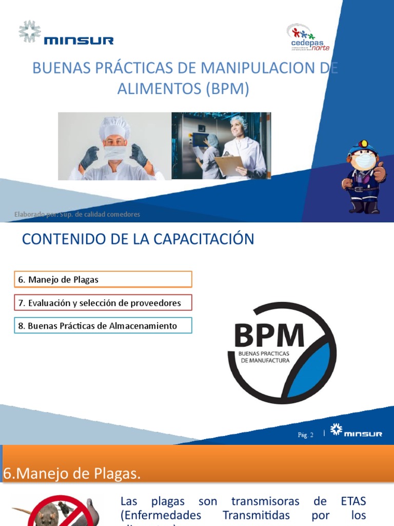 Parte 3 - Buenas Practicas de Manipulacion de Los Alimentos-Bpm | PDF | Plaga (organismo ...