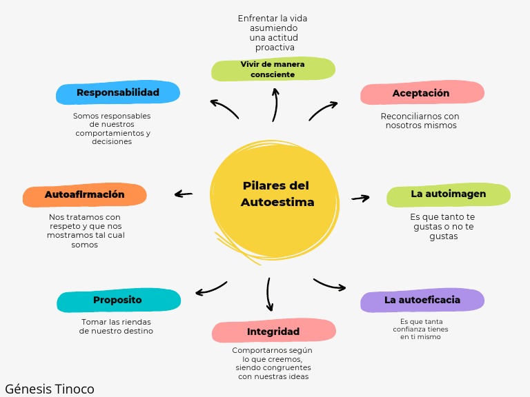 Gráfico de Mapa Mental o Conceptual de Seis Ideas Relacionadas a una ...
