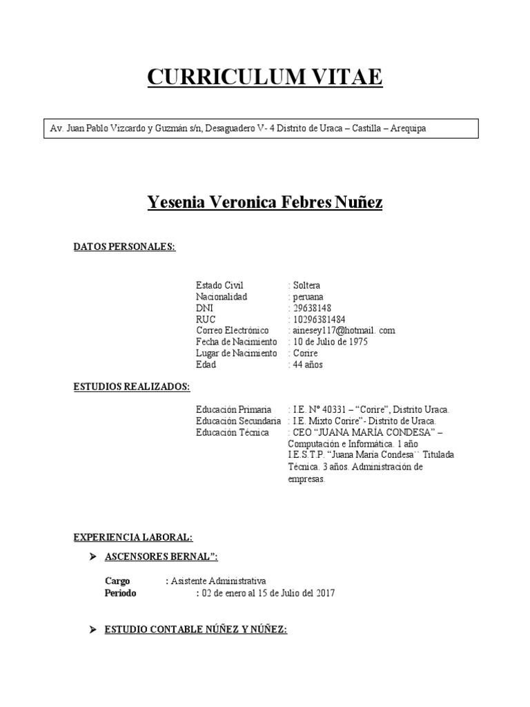 Curriculum Vitae 2020 | PDF