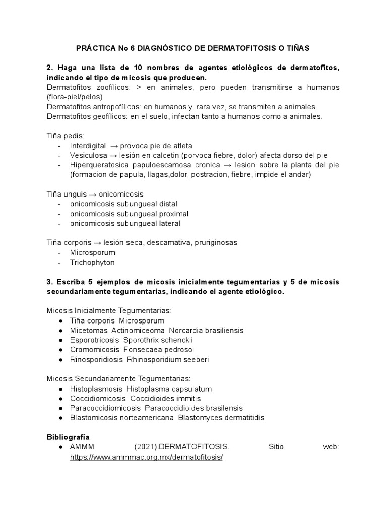 PRÁCTICA No 6 DIAGNÓSTICO DE DERMATOFITOSIS O TIÑAS | PDF | Malaria ...