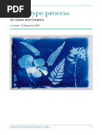 Cyanotype Worksheet | PDF | Art Media | Vision