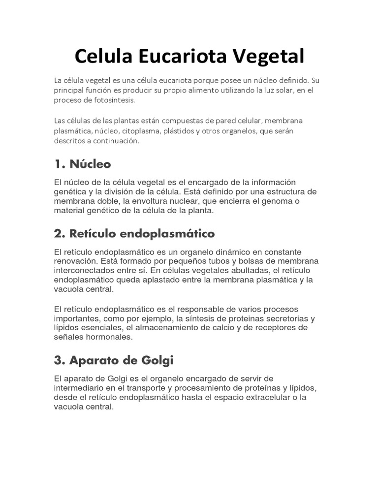 Celula Eucariota Vegetal (Expo) | PDF | Biología Celular) | Plantas
