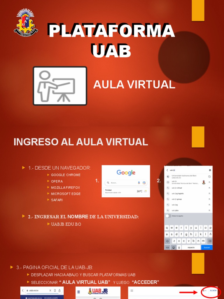 Ingreso Aula Virtual | PDF
