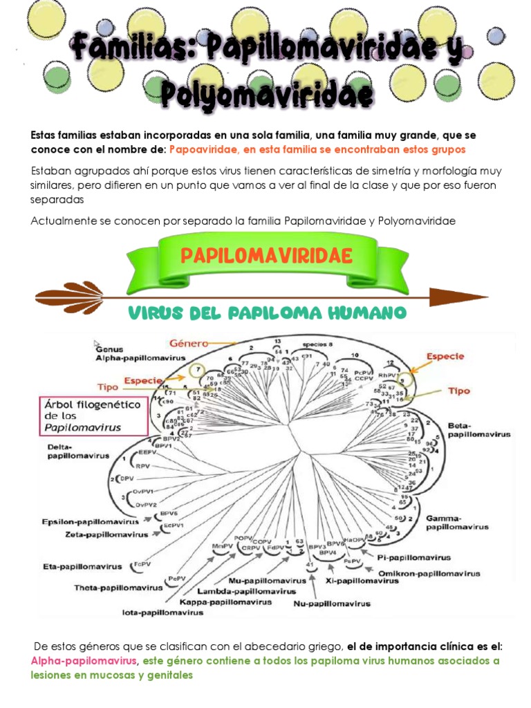 Familia Papilomaviridae y Polyomaviridae | PDF | Virus | Microbiología