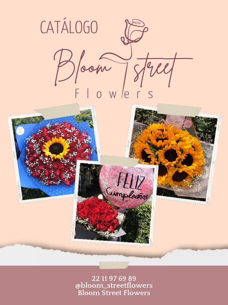 Catálogo Bloom | PDF