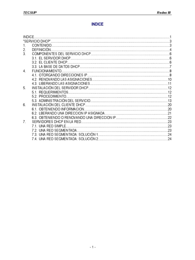 Cap03 DHCP | PDF | Dirección IP | Protocolos de internet