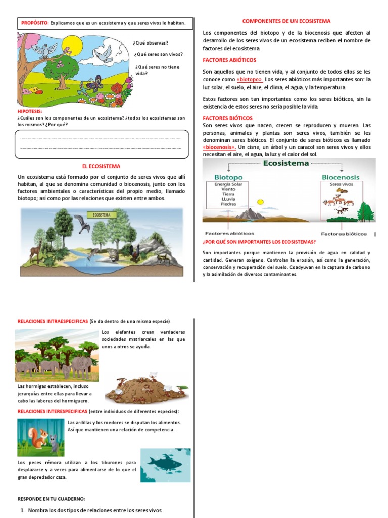 Practica Lunes | PDF | Ecosistema | Ecología de sistemas