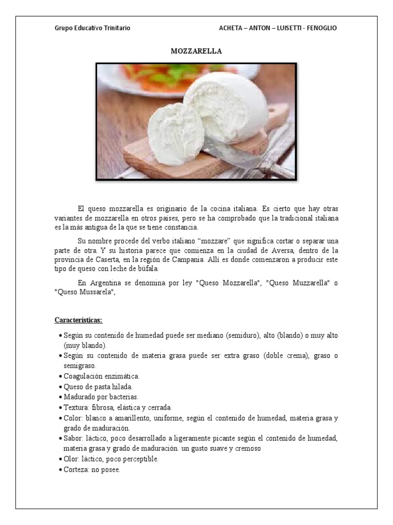 Proceso de Elaboración Del Queso Mozzarella | PDF | Queso | Queso Mozzarella
