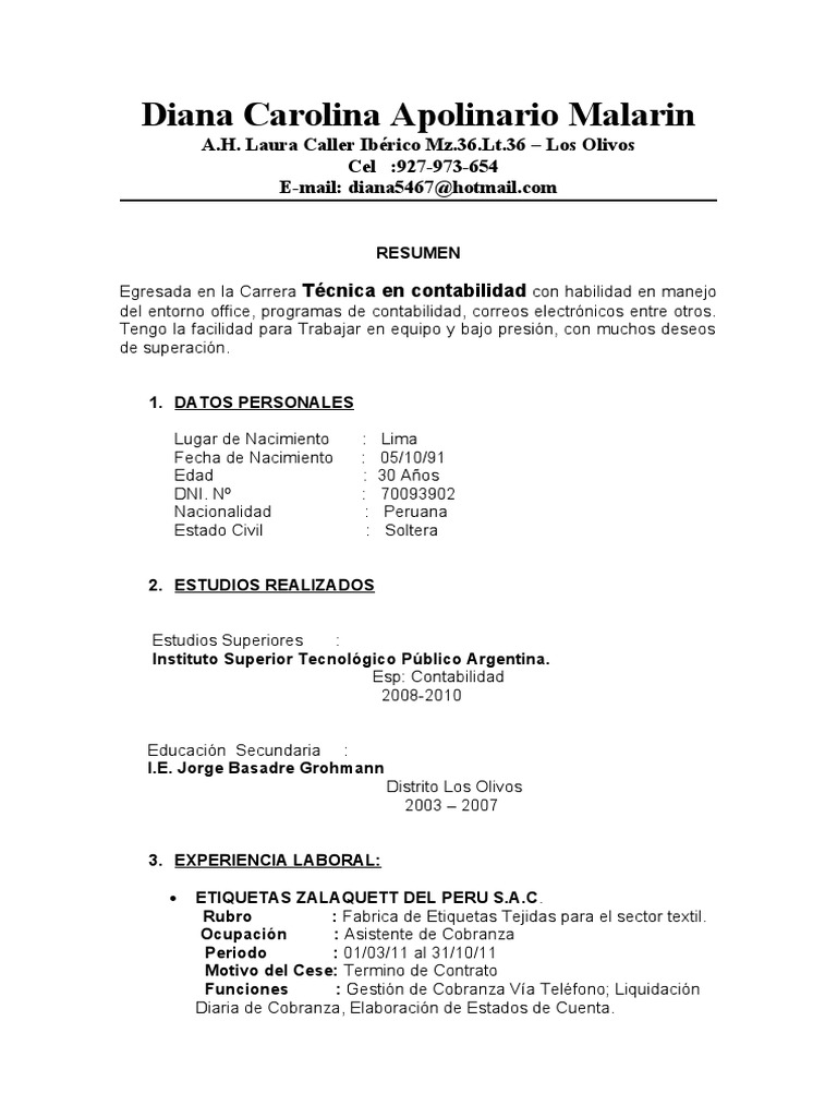 CV de Diana Apolinario Malarin | PDF | Servicios financieros | Business