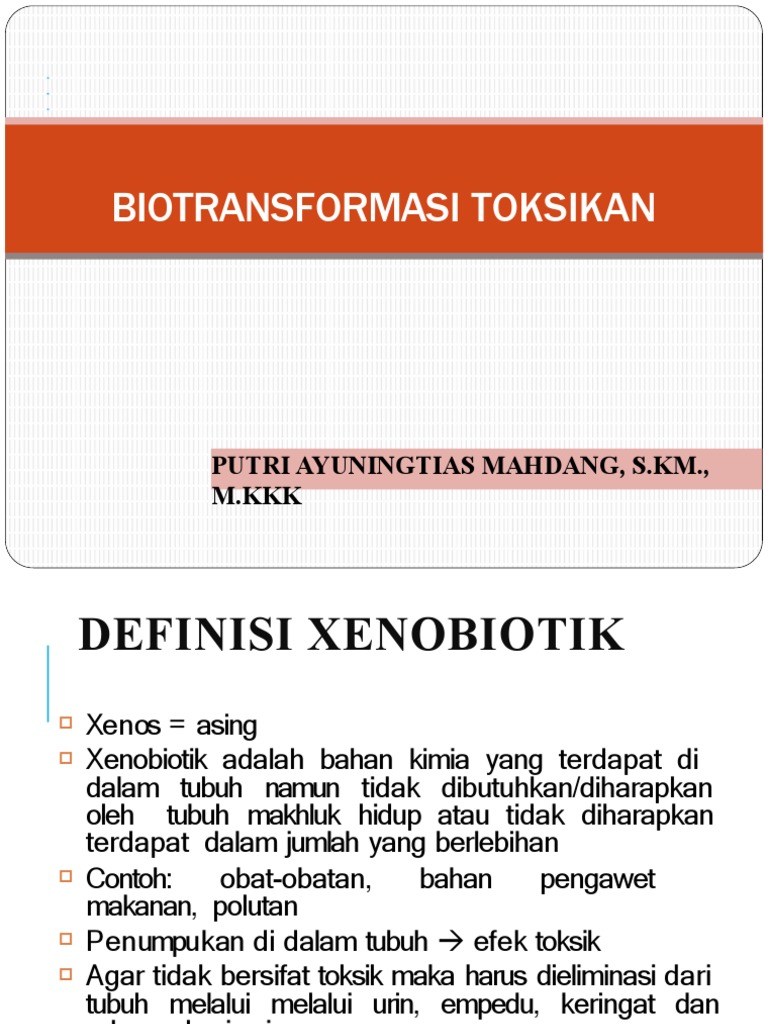 Biotransformasi Toksikan | PDF