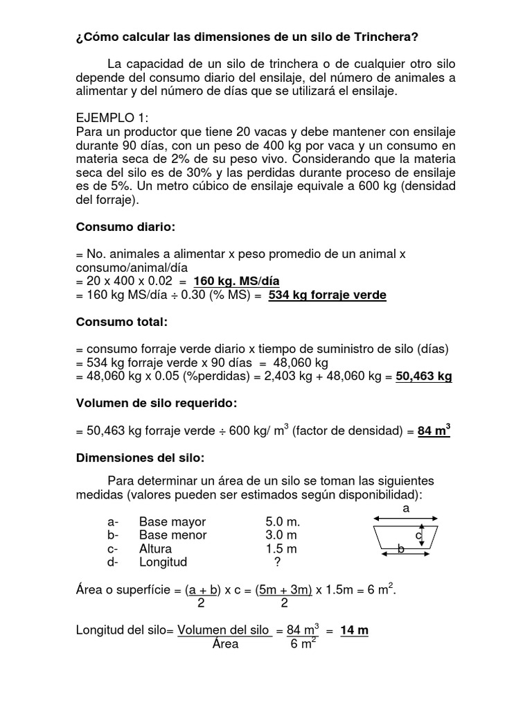 Cómo Calcular Las Dimensiones de Un Silo de Trinchera - Ejercicio | PDF