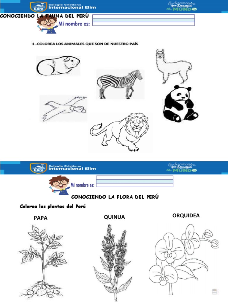 Fauna y Flora Del Perú | PDF