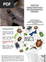 Origen y Evolucion de Los Insectos | PDF | Insectos | Escala de tiempo ...