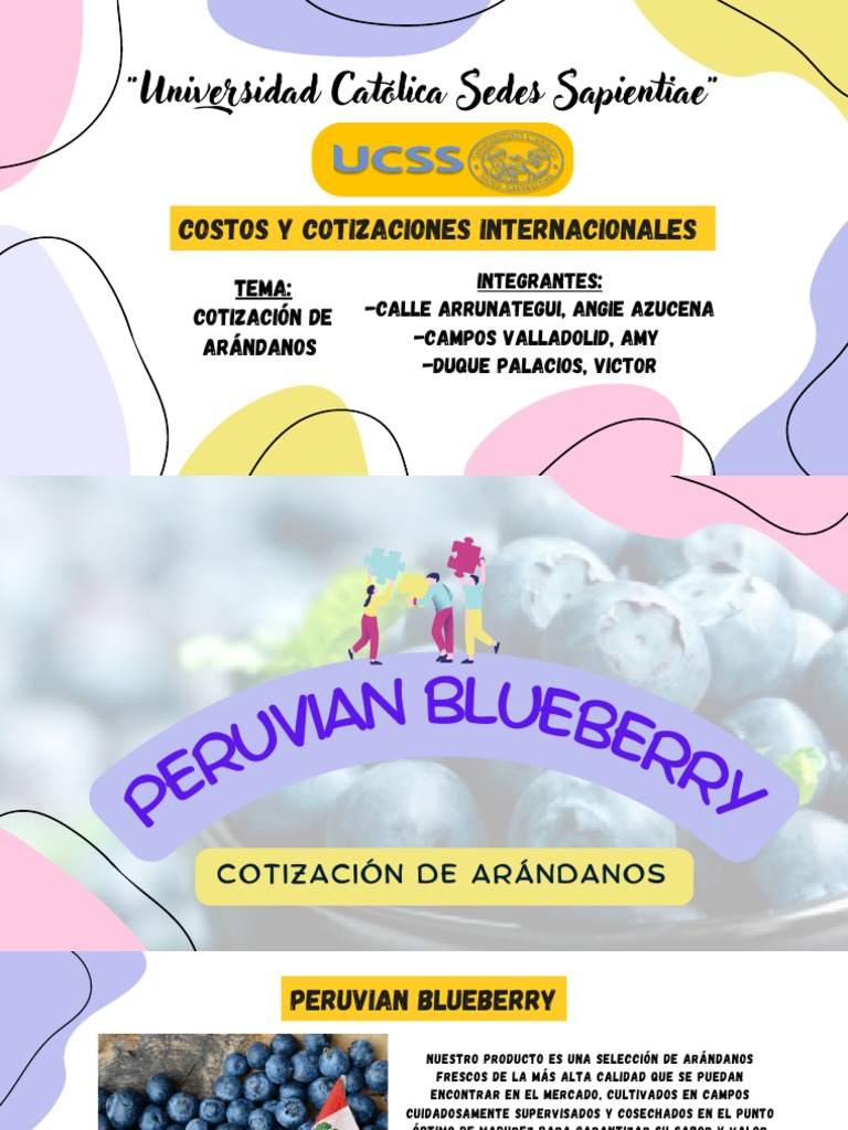 Cotización-Peruvian Blueberries | PDF