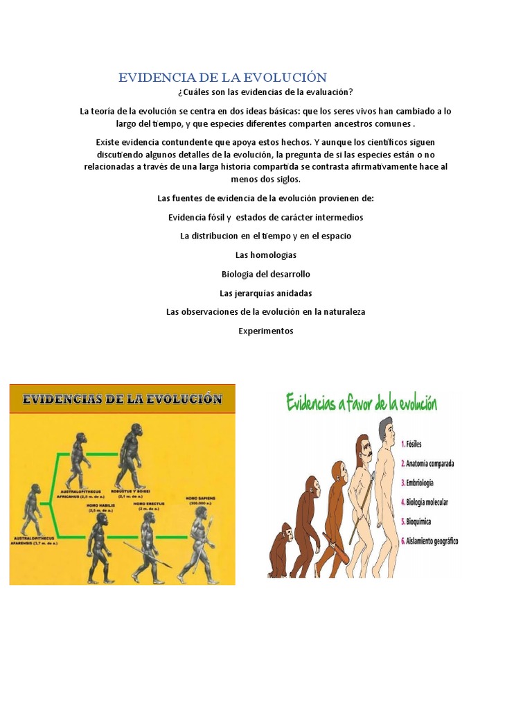 Biología 4d | PDF | Evolución | Gene