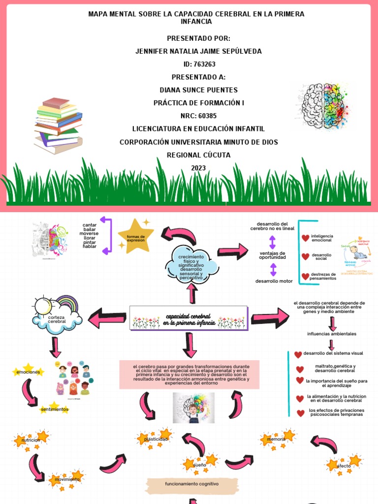 Mapa Mental Sobre La Capacidad Cerebral En La Primera Infancia Pdf Cerebro Las Emociones 
