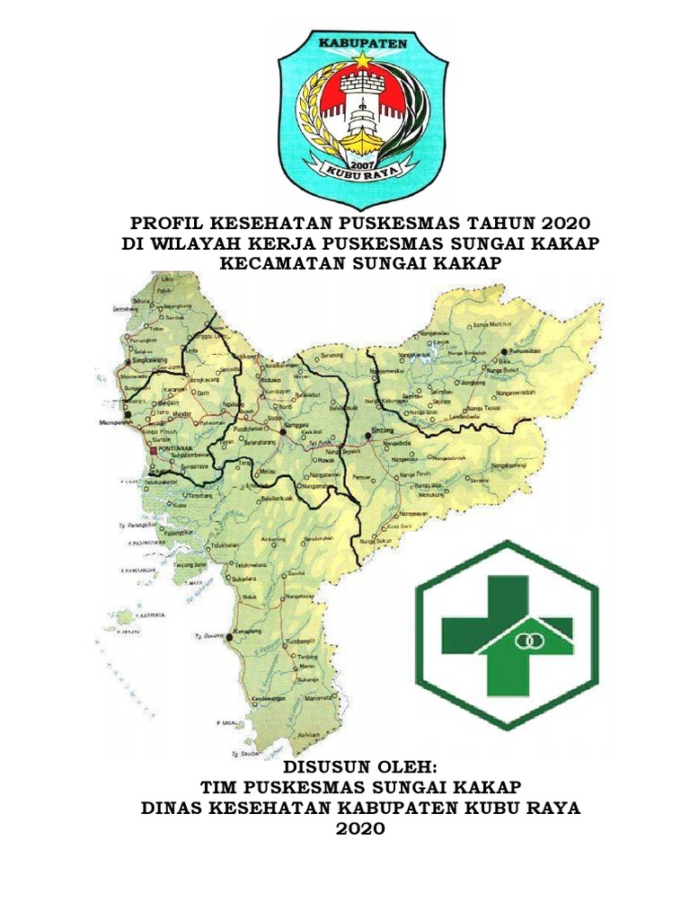 Profil 2020 | PDF | Kesehatan Holistik