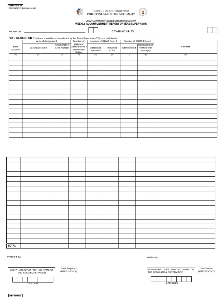 Weekly Accomplishment Report Form 12 | PDF | Computing