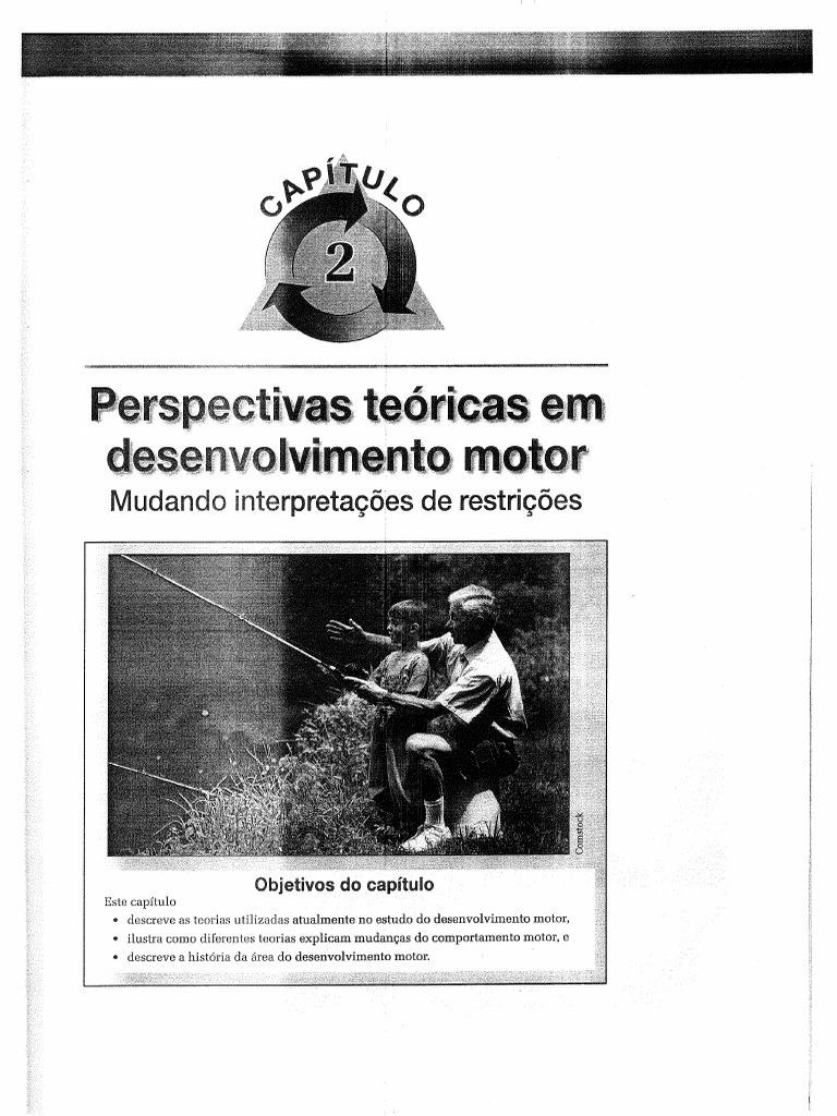 Cap - 02 - Perspectivas - Teoricas | PDF
