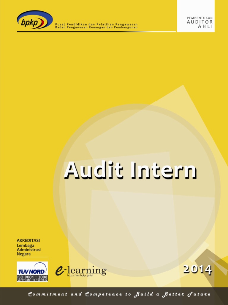 Audit Intern | PDF