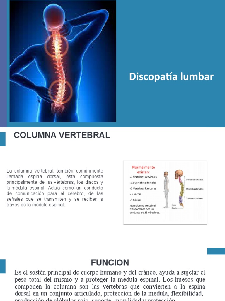 01-Discopatía Lumbar | PDF | La columna vertebral | Vértebra
