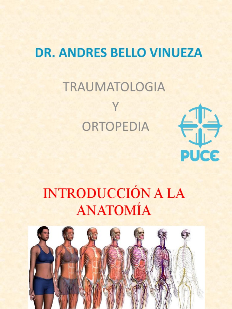 1.-Clase Puce #1 | PDF | Articulación | Hueso