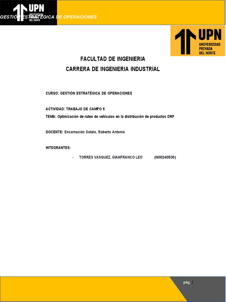 Trabajo de Campo 5 Torres Vasquez Gianfranco (1) | PDF | Gestión estratégica | Logística