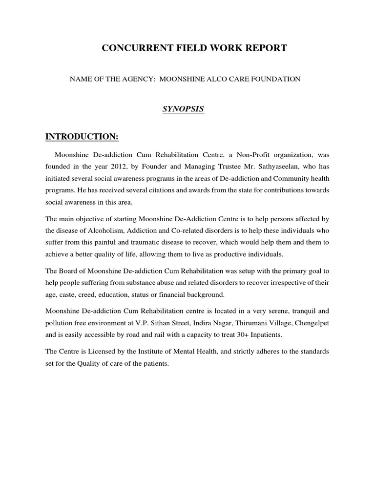 Concurrent Field Work Report Model | PDF