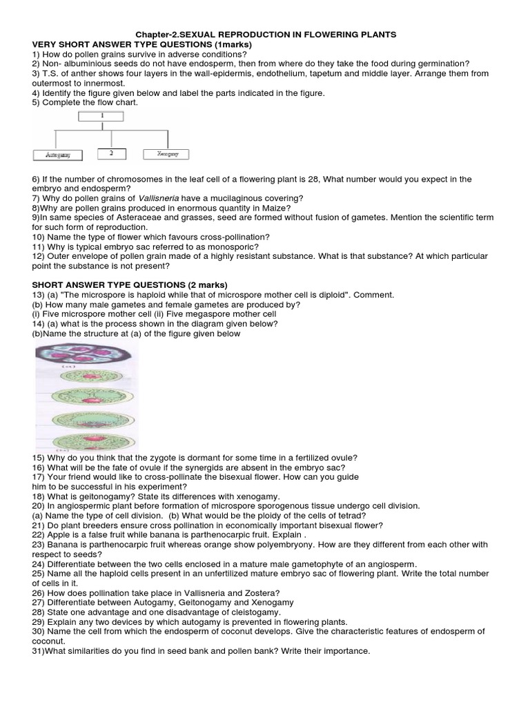 12TH CH-2 Assignment | PDF | Flowers | Seed