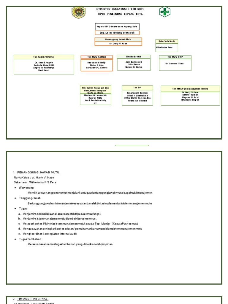 Struktur Organisasi Tim Mutu 2 | PDF