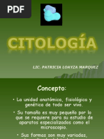 Tipos de Hojas de Acuerdo A La Forma de Su Limbo | PDF | Hoja | Botánica