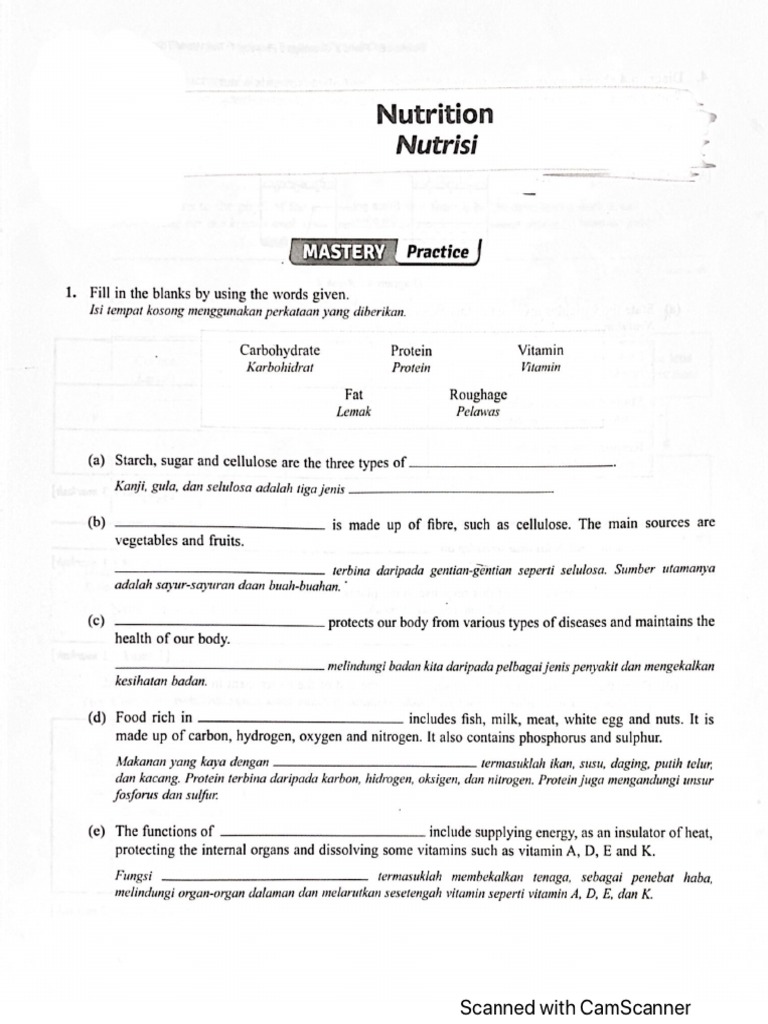 SC F2, Igcse C1, C2, C3 | PDF