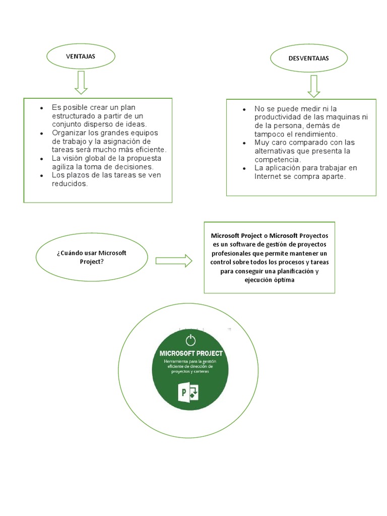 Infografia de Microsoft Project | PDF