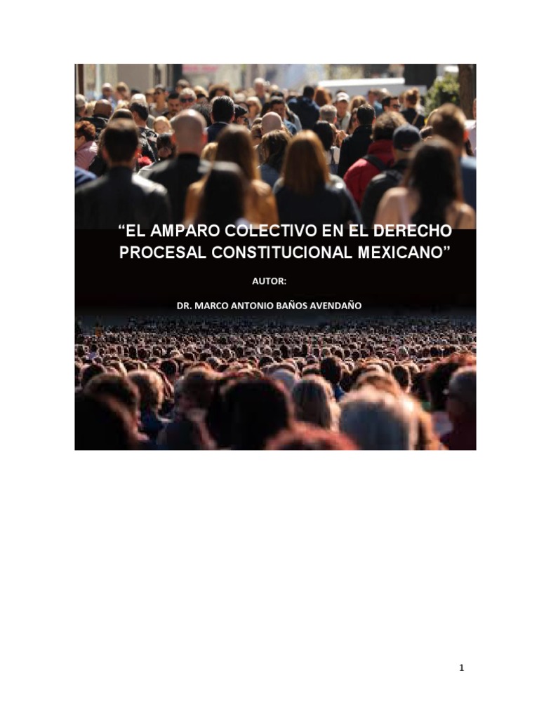 Libro El Amparo Colectivo en El Nuevo Derecho Procesal Constitucional Mexicano Final | PDF | Ley ...