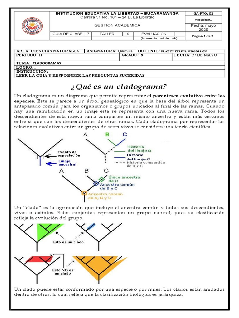Introducción a los Cladogramas en Biología | PDF | Evolución | Clade