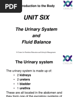 Aaos Rom Values | PDF | Anatomical Terms Of Motion | Limbs (Anatomy)