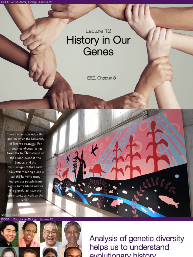 Genetic Insights into Evolutionary History | PDF | Evolution ...