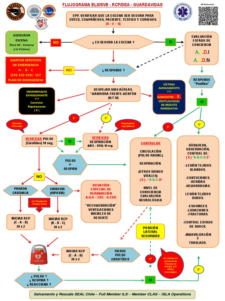 Flujograma Bls-Rcp-Dea Seal Chile-Ils 2020 | PDF | Reanimación ...